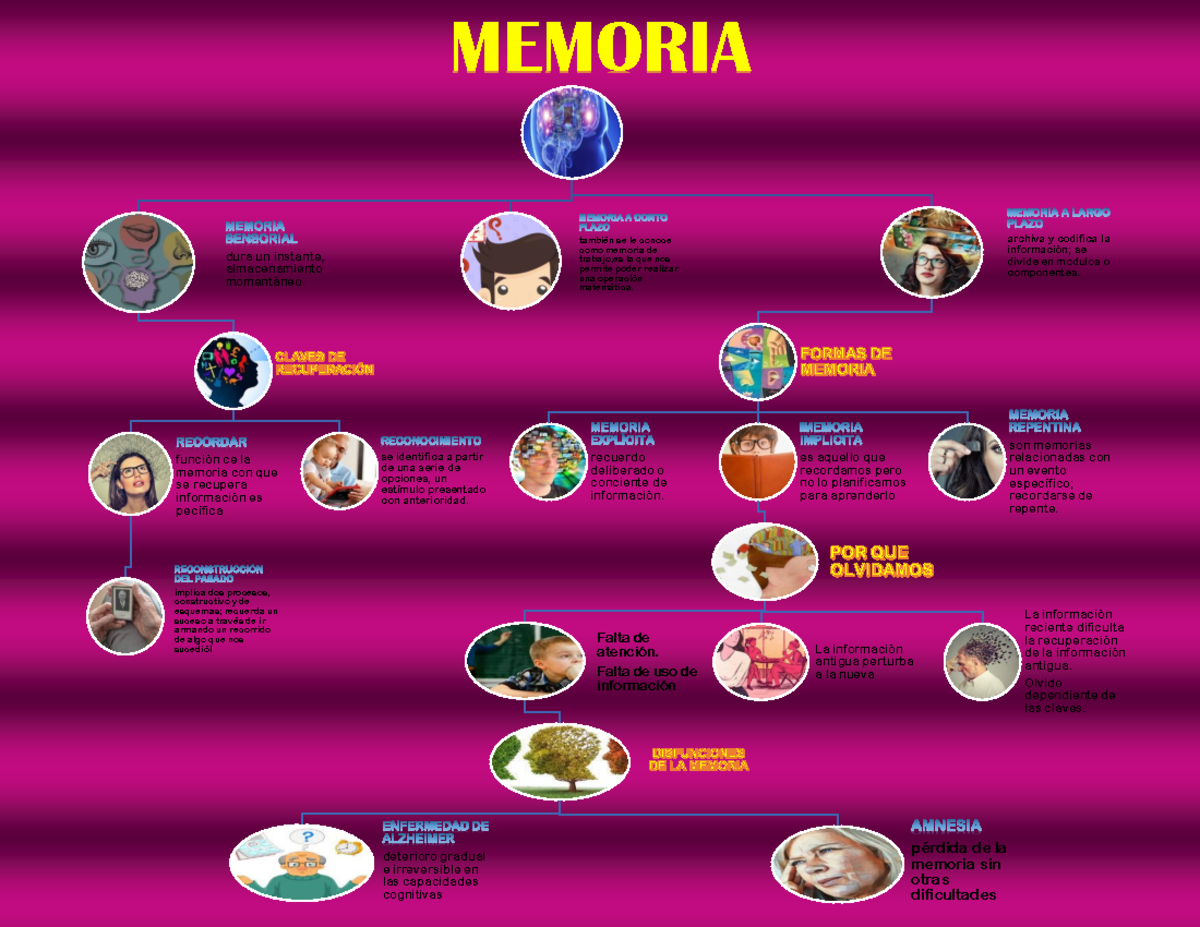Mapa conceptual de memoria - MEMORIA dura un instante, almacenamiento ...