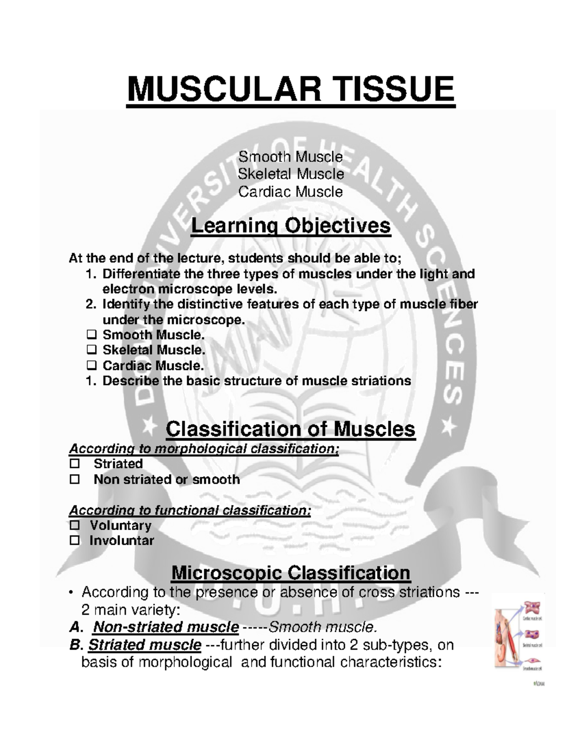 Histology Muscular tissue - MUSCULAR TISSUE Smooth Muscle Skeletal ...