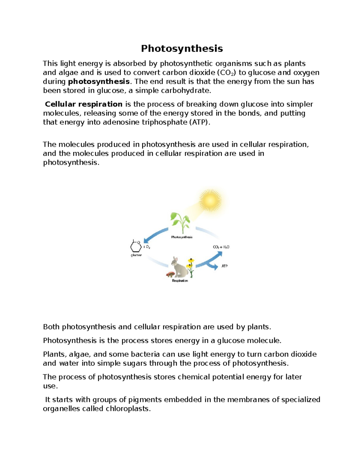 Photosynthesis - biology - Photosynthesis This light energy is absorbed ...