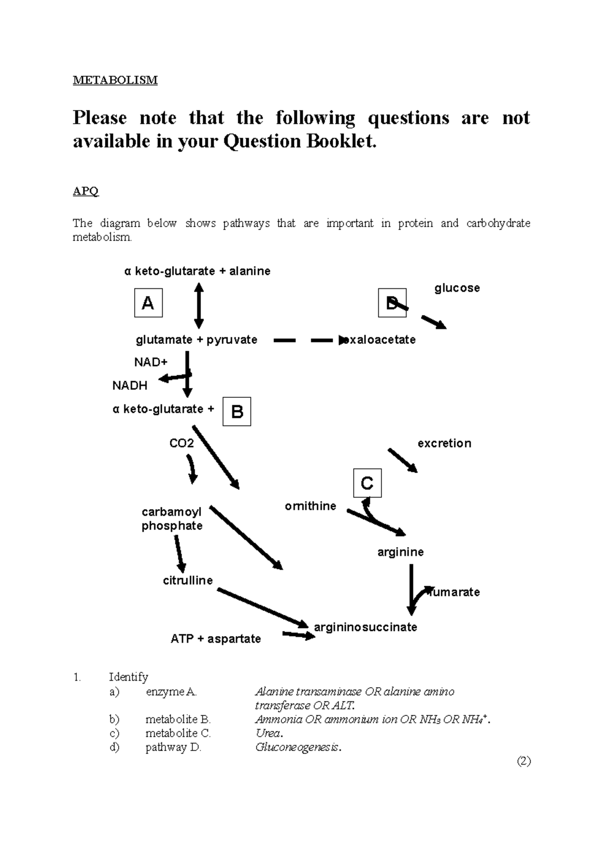 Metabolism - α keto-glutarate + alanine glutamate + pyruvate ...