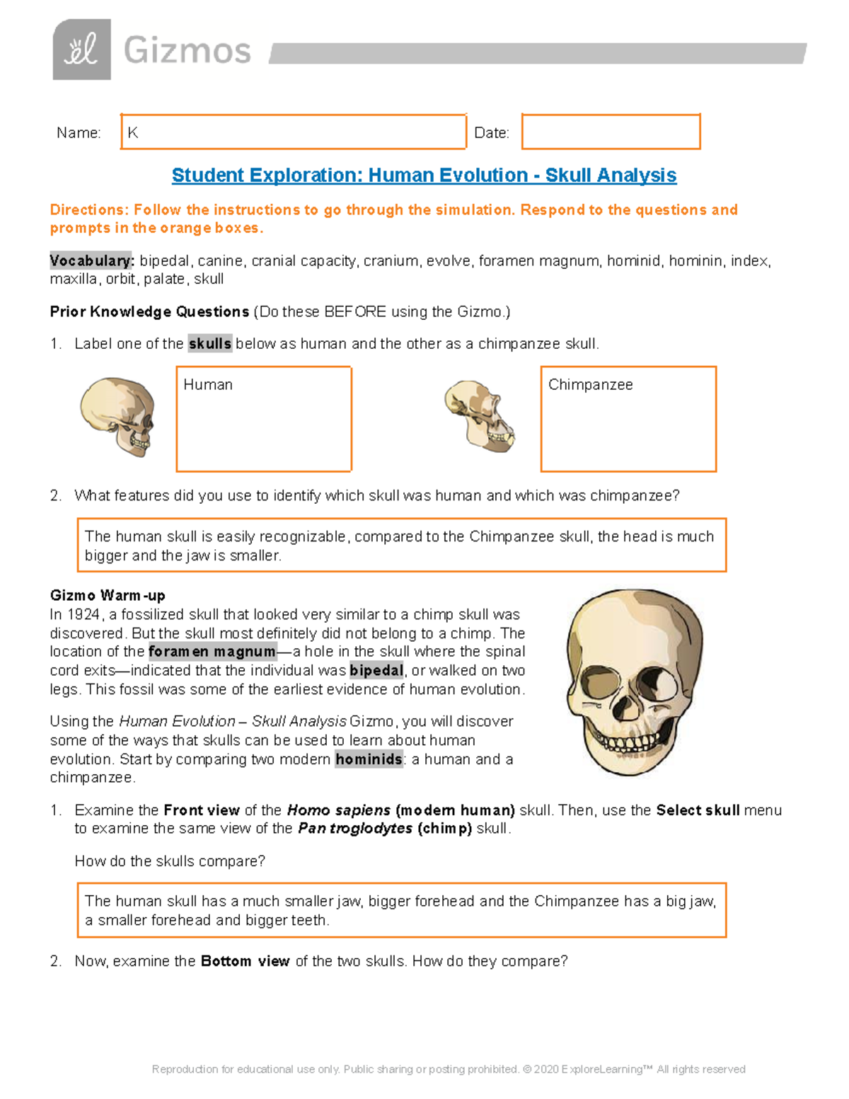 Human Evolution SE - sghjui7u6ytgfv - Name: K Date: Student Exploration ...