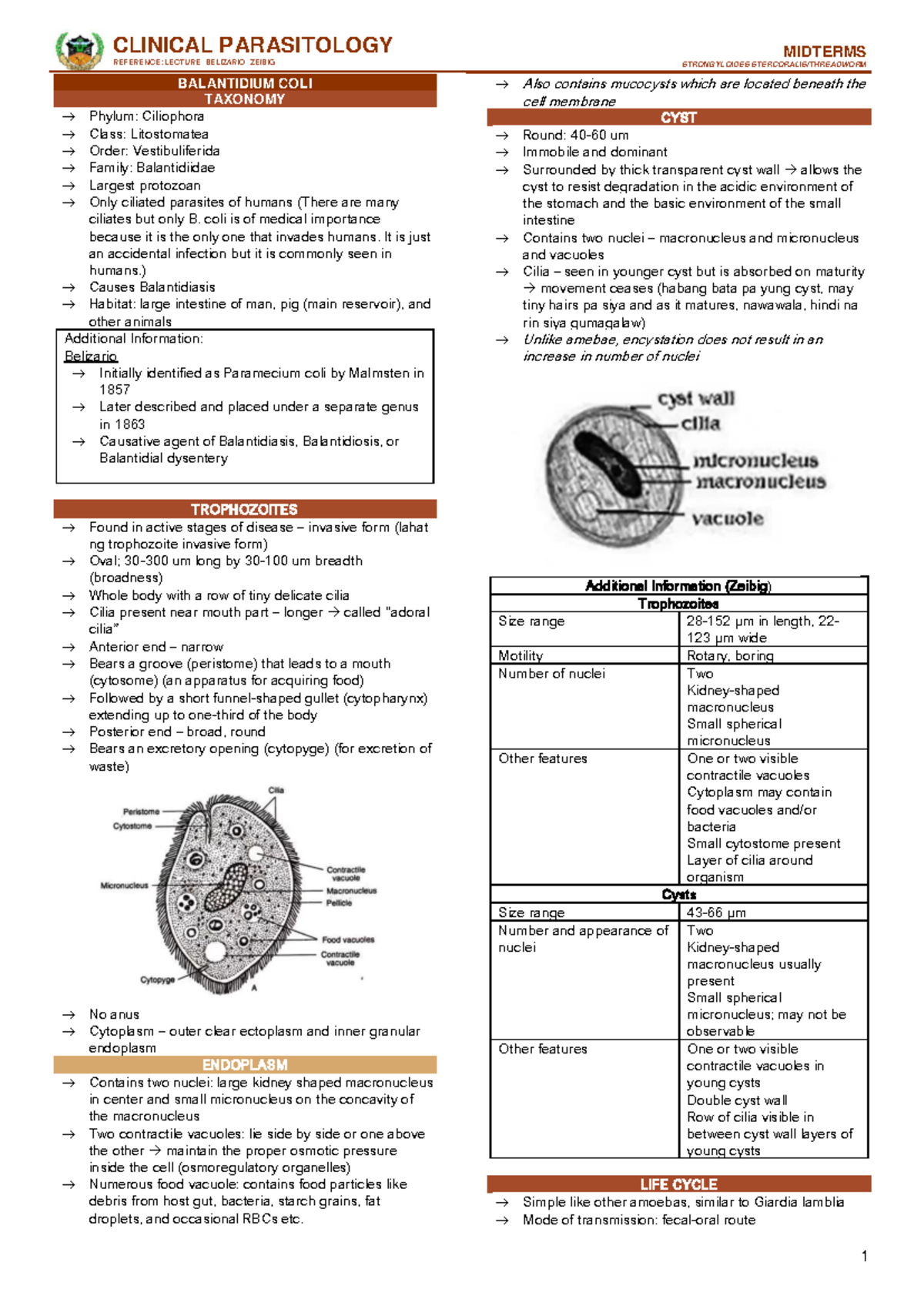 Balantidium coli - 1 CLINICAL PARASITOLOGY REFERENCE: LECTURE ...
