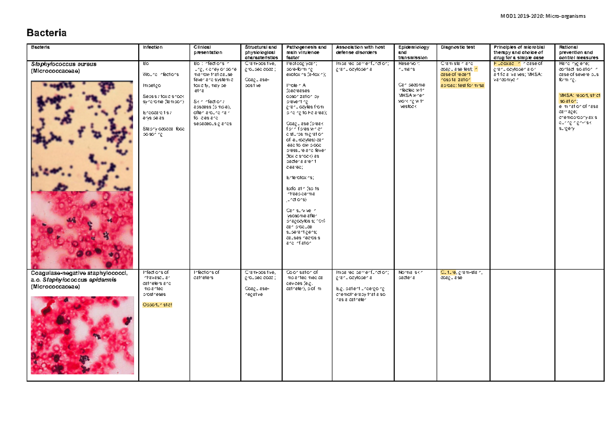MOD1 bacteria - Samenvatting Mechanisms of disease 1 - Warning: TT ...