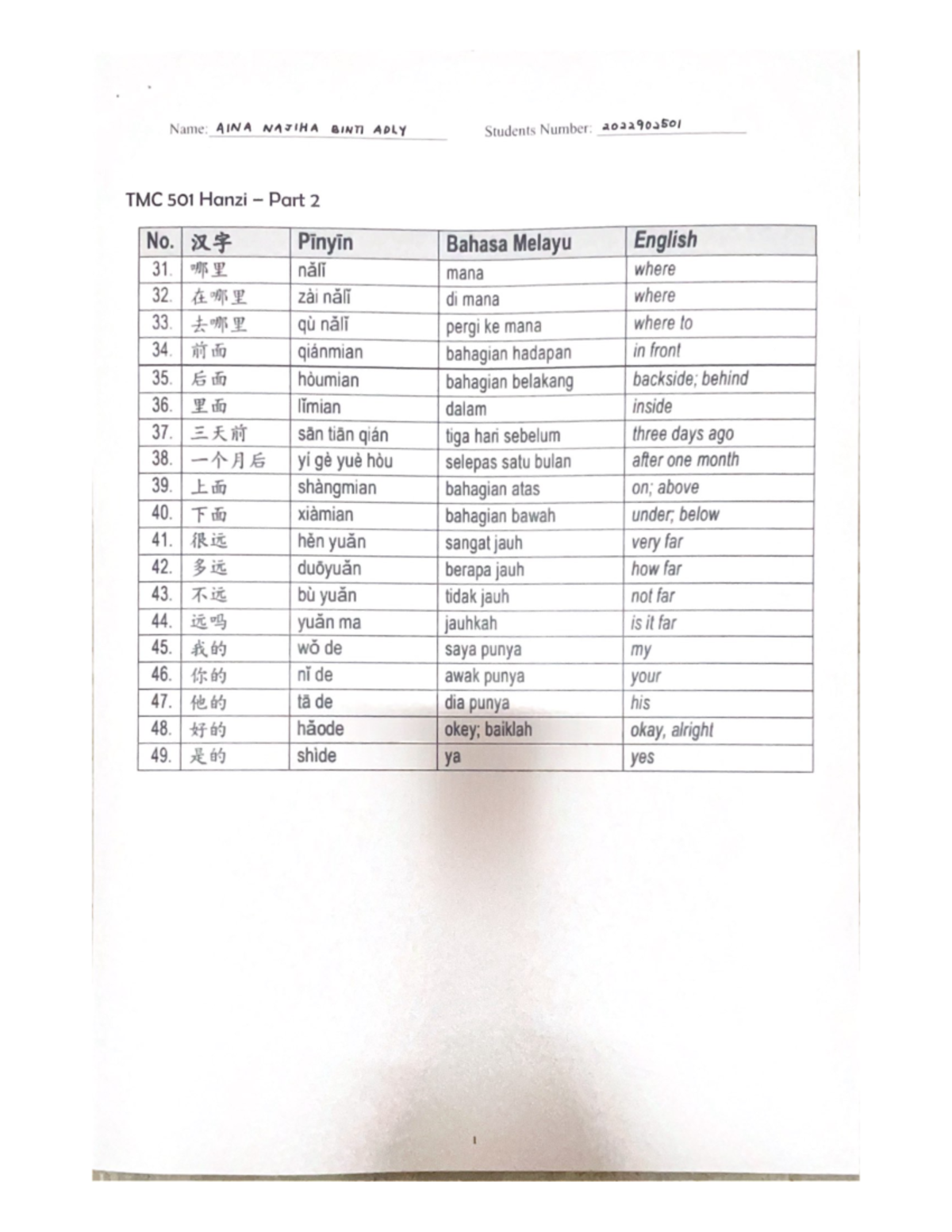TMC 501 Hanzi Part 2 - Aina Najiha - Name: AINA NAJIHA BINTI ADLY ...