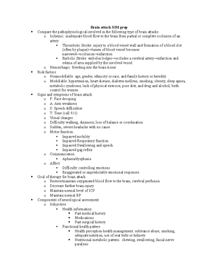 MS1 Vsim Documentation + Guided Reflection - Lloyd Bennett - Surgical ...