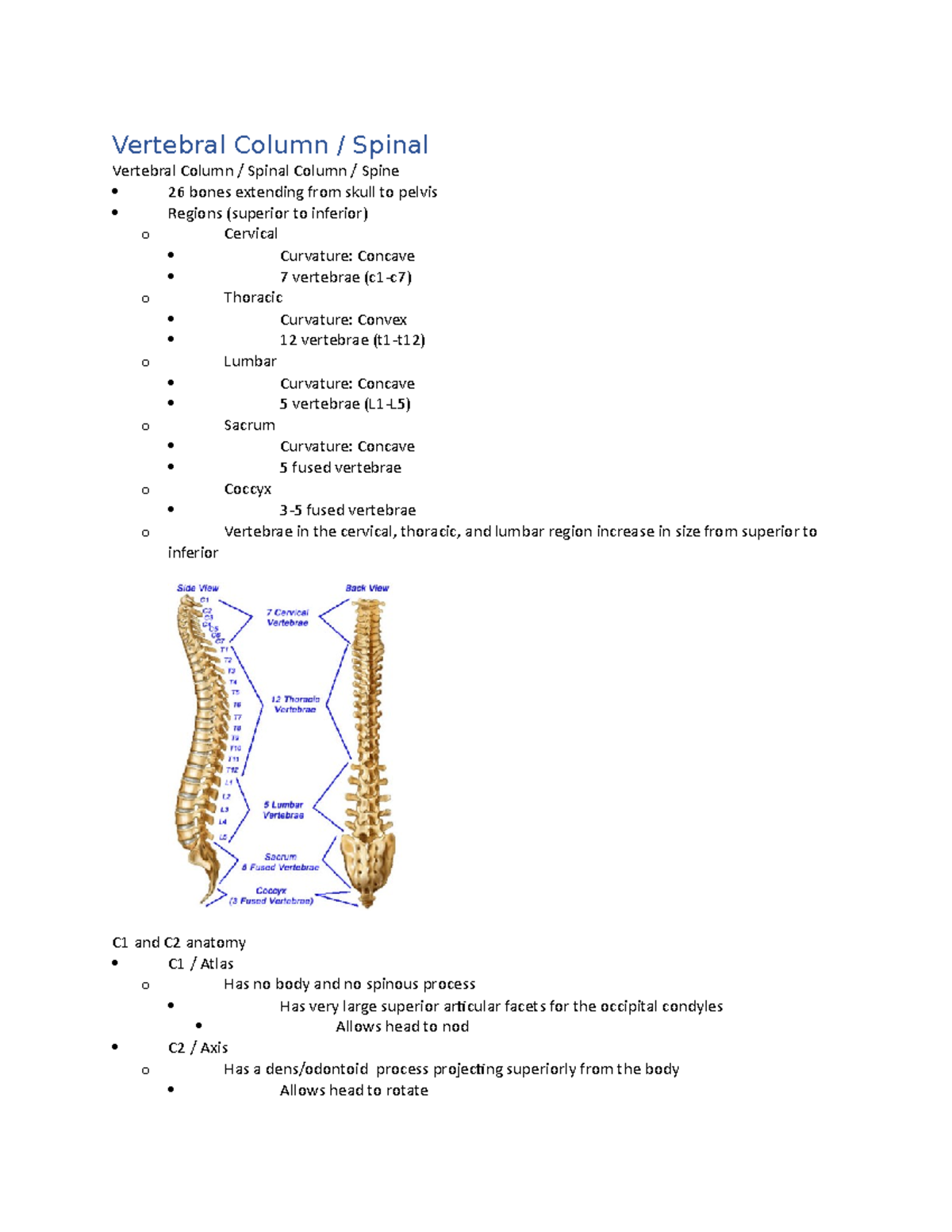 Vertebral Column - Lecture notes 7 - Vertebral Column / Spinal ...