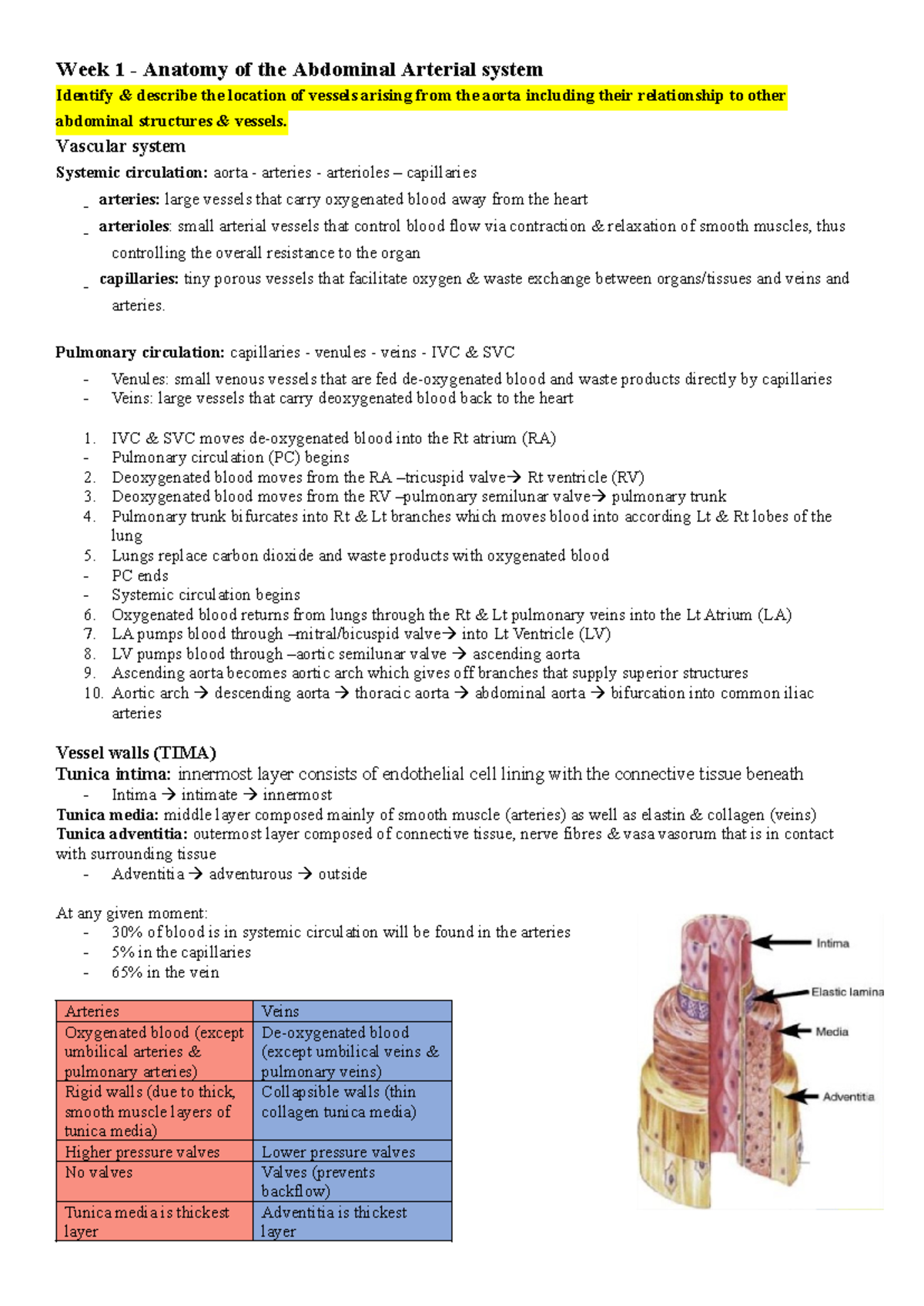 W1-2 MEDS12002 Notes - Week 1 - Anatomy of the Abdominal Arterial ...