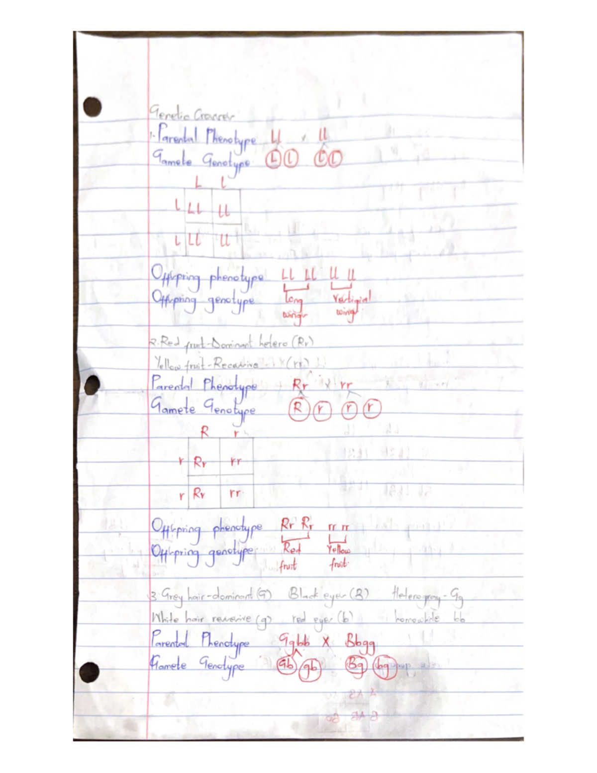 Tutorial worksheet biology 121 lab report on dna electrolysis and ...
