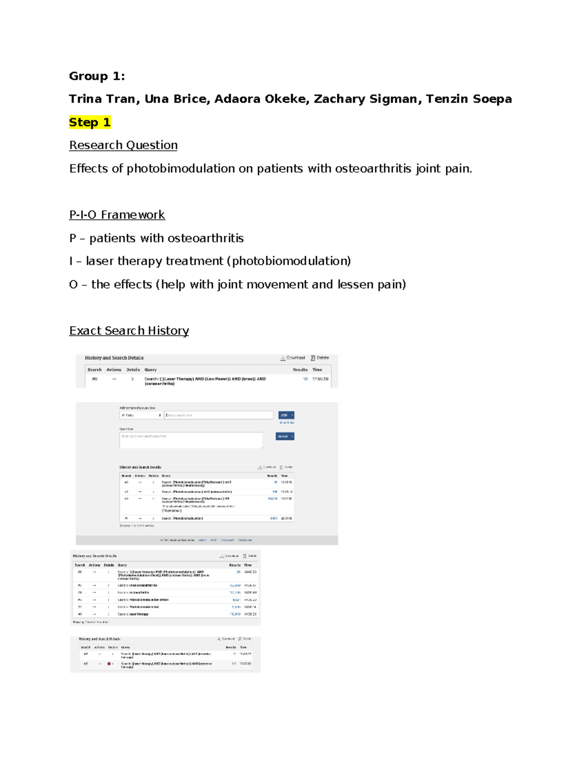IPE Literature Review Draft - Group 1: Trina Tran, Una Brice, Adaora ...