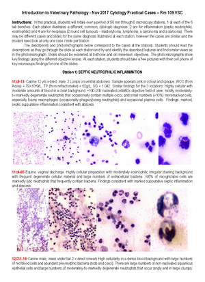 Neoplasia Lecture 3 Notes - Tumor-host interactions Effects of ...
