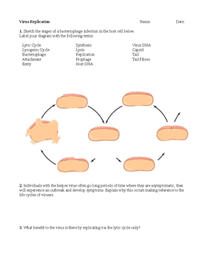 LAB Virtual Spirometry Lab shorter - Virtual Spirometry Lab Name ...
