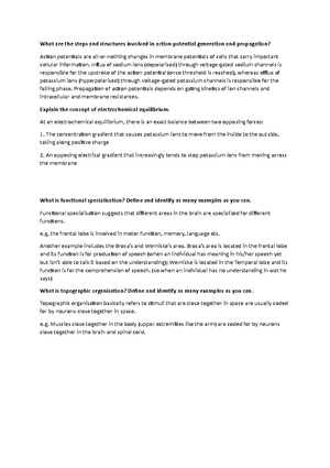 Describe Image Template 01 - APEUni Describe Image Template Template ...