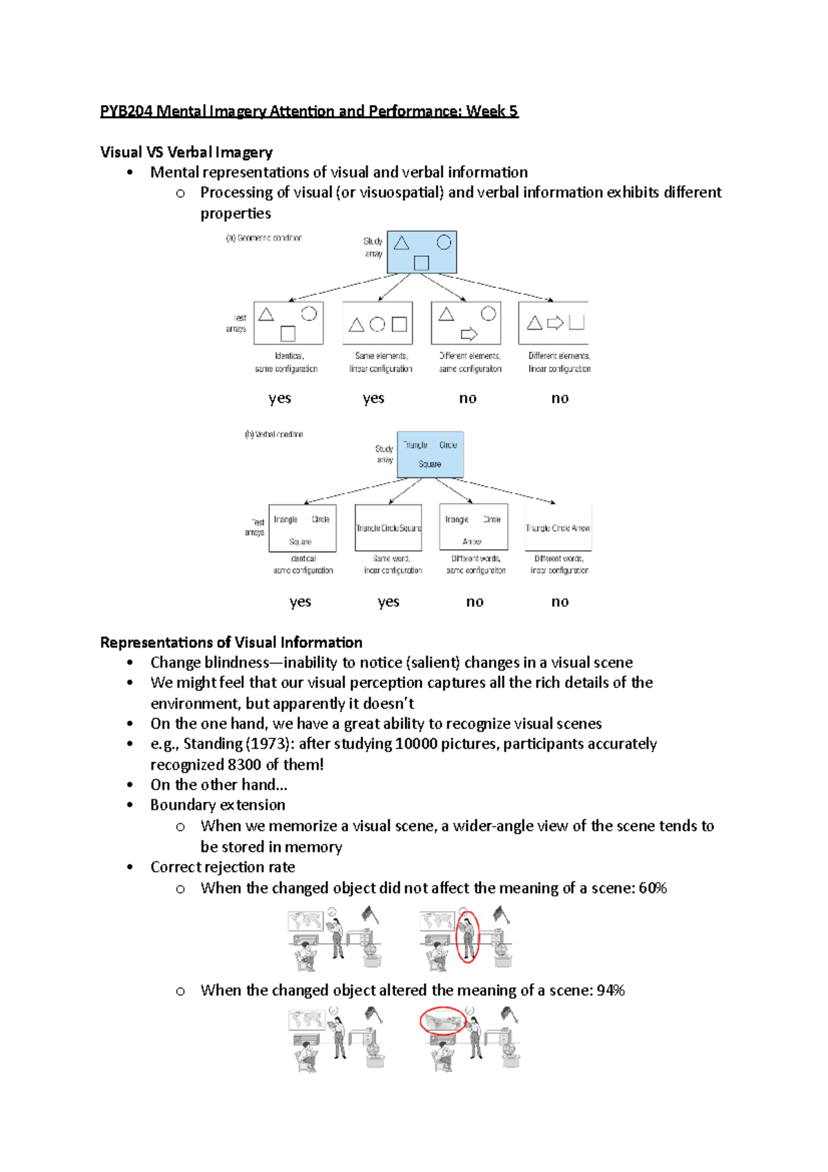 Week 5 - lecture notes - PYB204 Mental Imagery Attention and ...