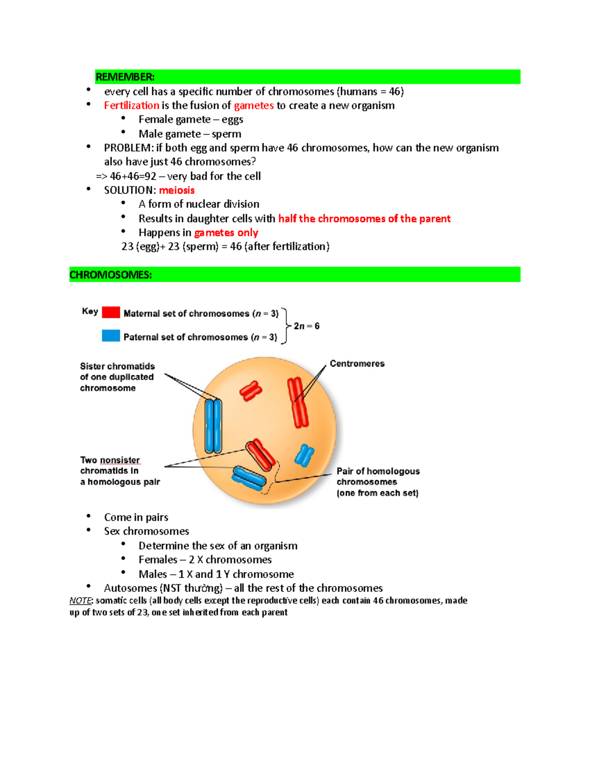 Chapter 13 13.1 Introduction to meiosis - REMEMBER: every cell has a ...