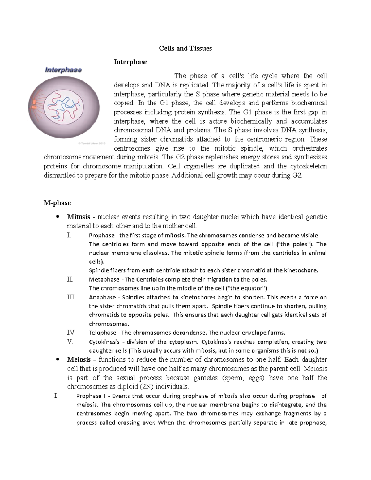 Cells-and-Tissues - Summary Human Anatomy and Physiology with ...