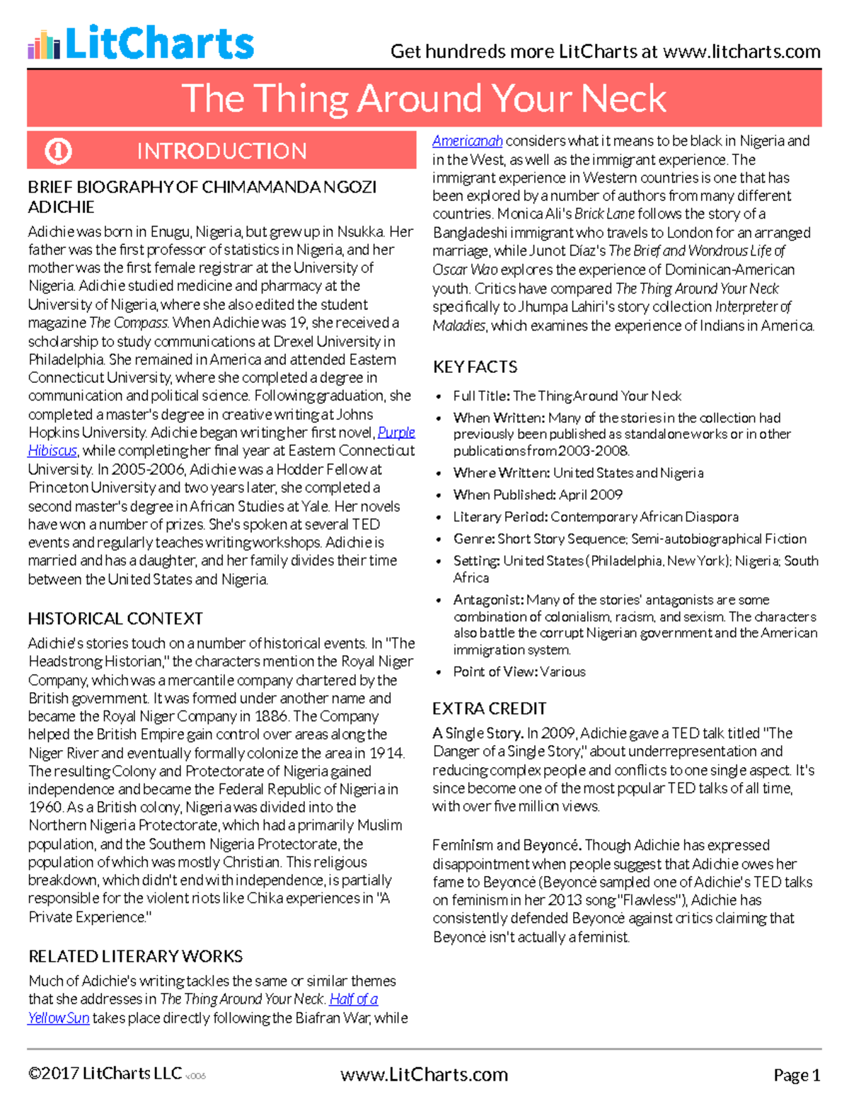 The Thing Around Your Neck Lit Chart - The Thing Around Your Neck BRIEF ...