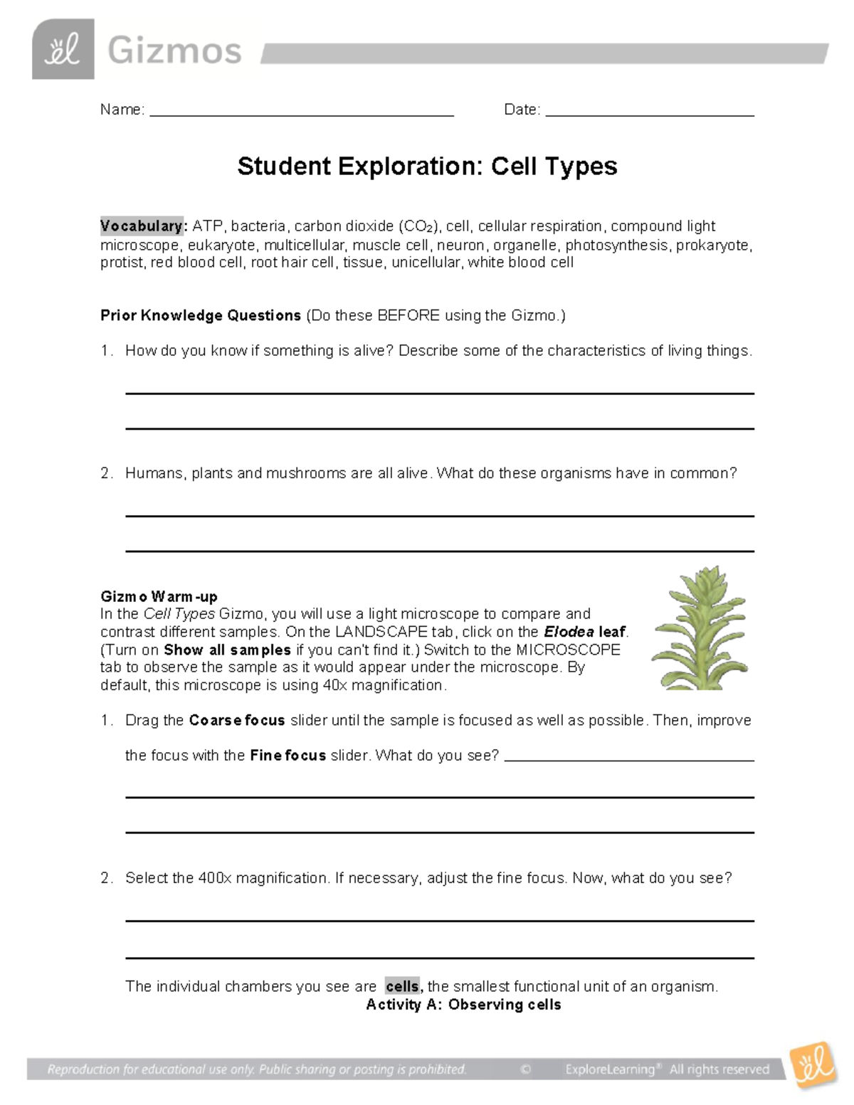 Cell Types SE - E - Gizmo Worksheet - 2018 Name: Date: Student ...