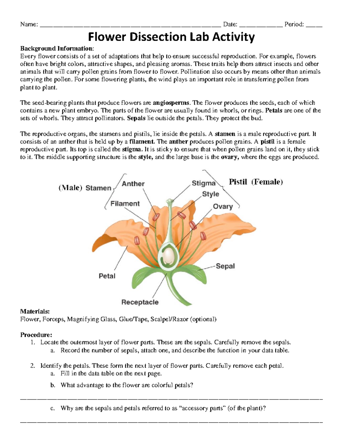 Flower dissection lab updated 2 - Name
