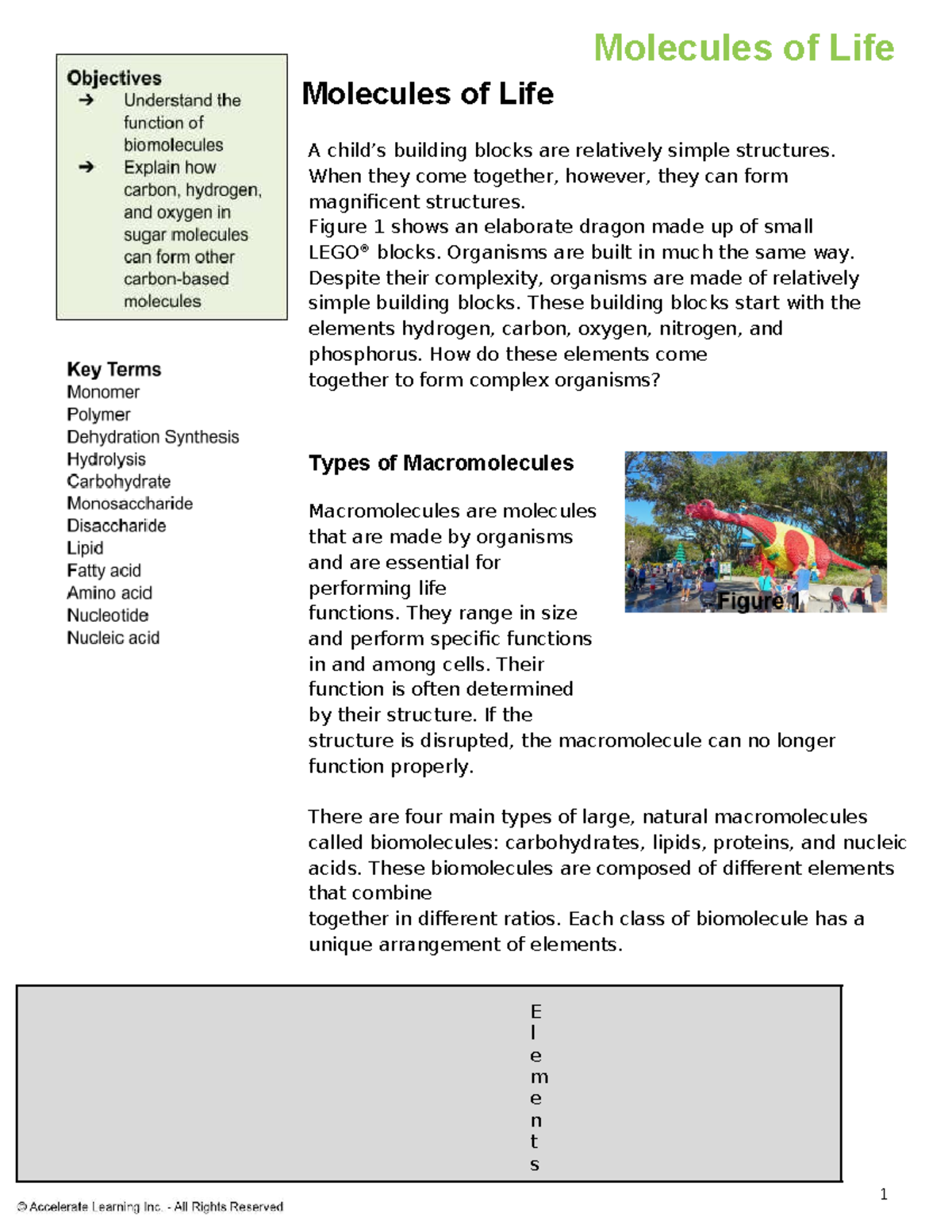 Taylor Freeman - NGSS3D HSLS Moleculesof Life Explain STEMscopedia ...