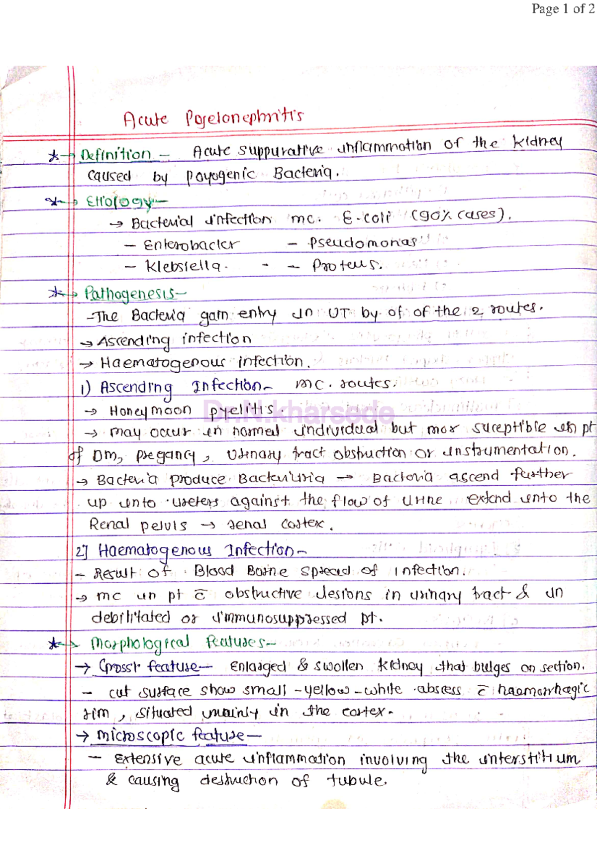 Acute pyelonephritis - isf Acute Pyelon epntrs Acute subpurate ...