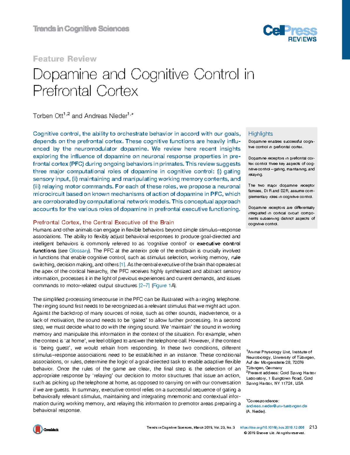 2019 Dopamine and Cognitive Control in prefrontal cortex - Feature ...