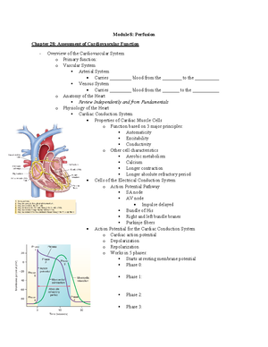 Module 11 Review Sheet - Hormones & Metabolism Module 11- Endocrine ...
