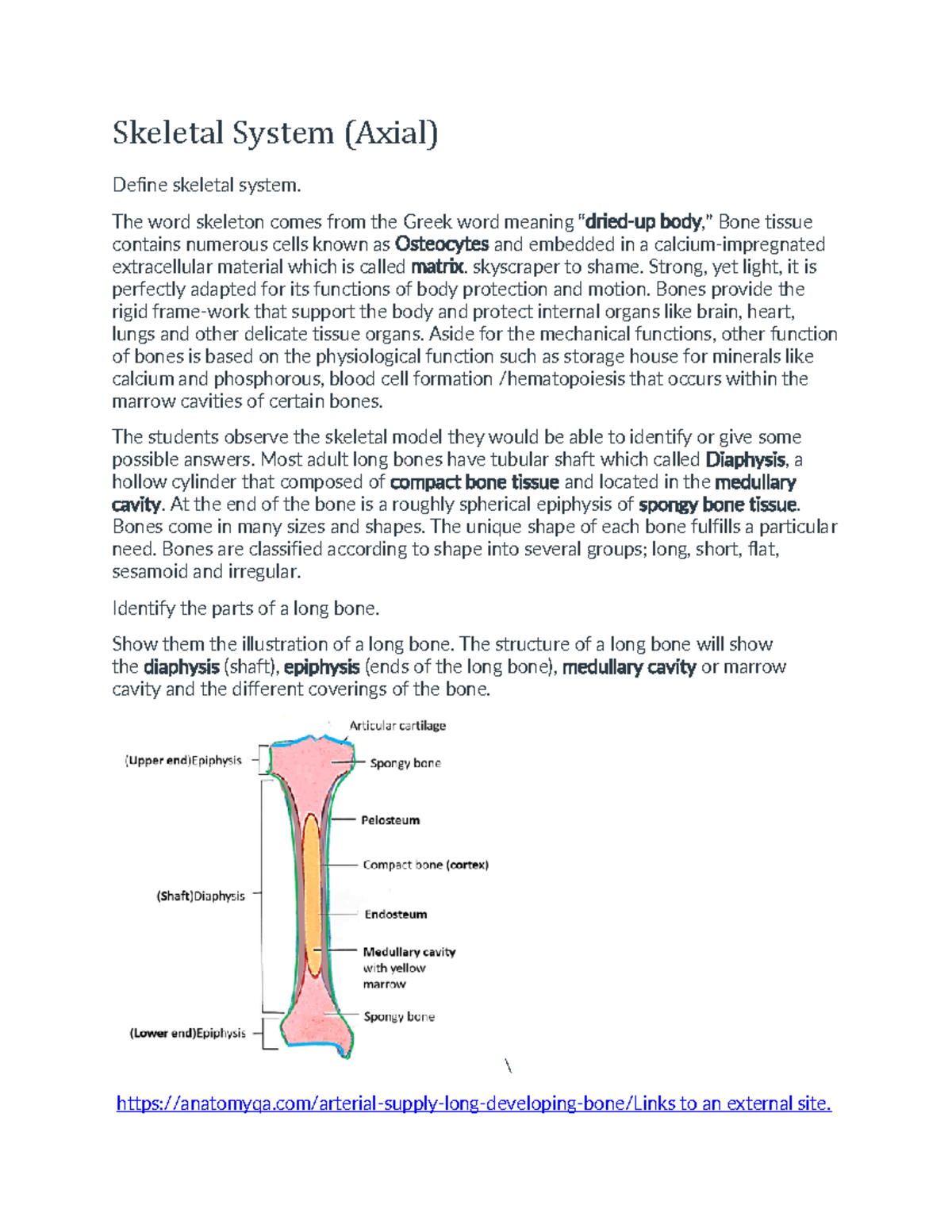 Skeletal System Definition SKELETAL SYSTEM | Definition and Functions - YouTube