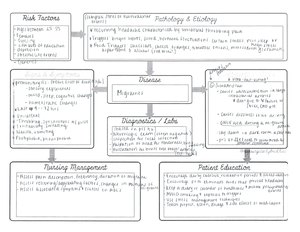 Renal Calculi Concept Map - NURS 2040 - CCRI - Studocu
