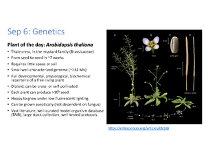 10 - LEcture notes from biology class - Seeds & germination Quiz Watch ...