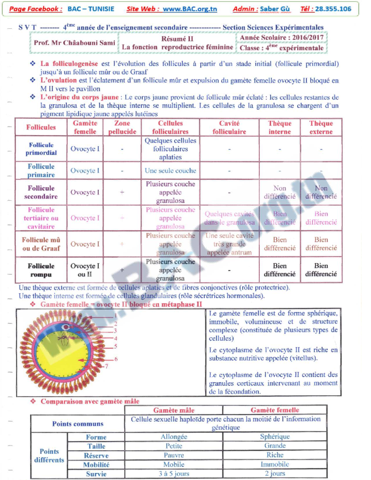 Cours Science 1 - bac admis - Base de données répartis - Studocu