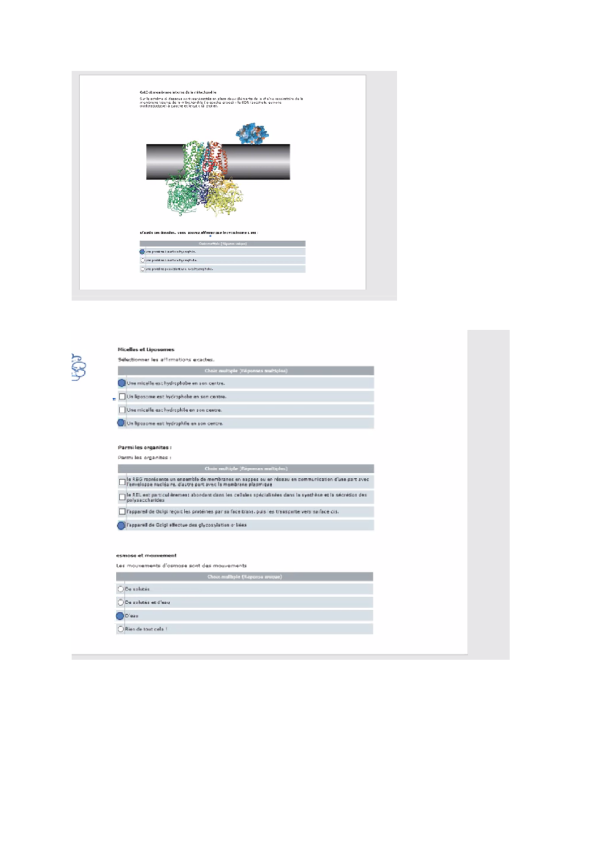 TD Biocell 2903 - Travaux dirigés de biologie cellulaire année 2019/2020 avec QCM en distanciel ...