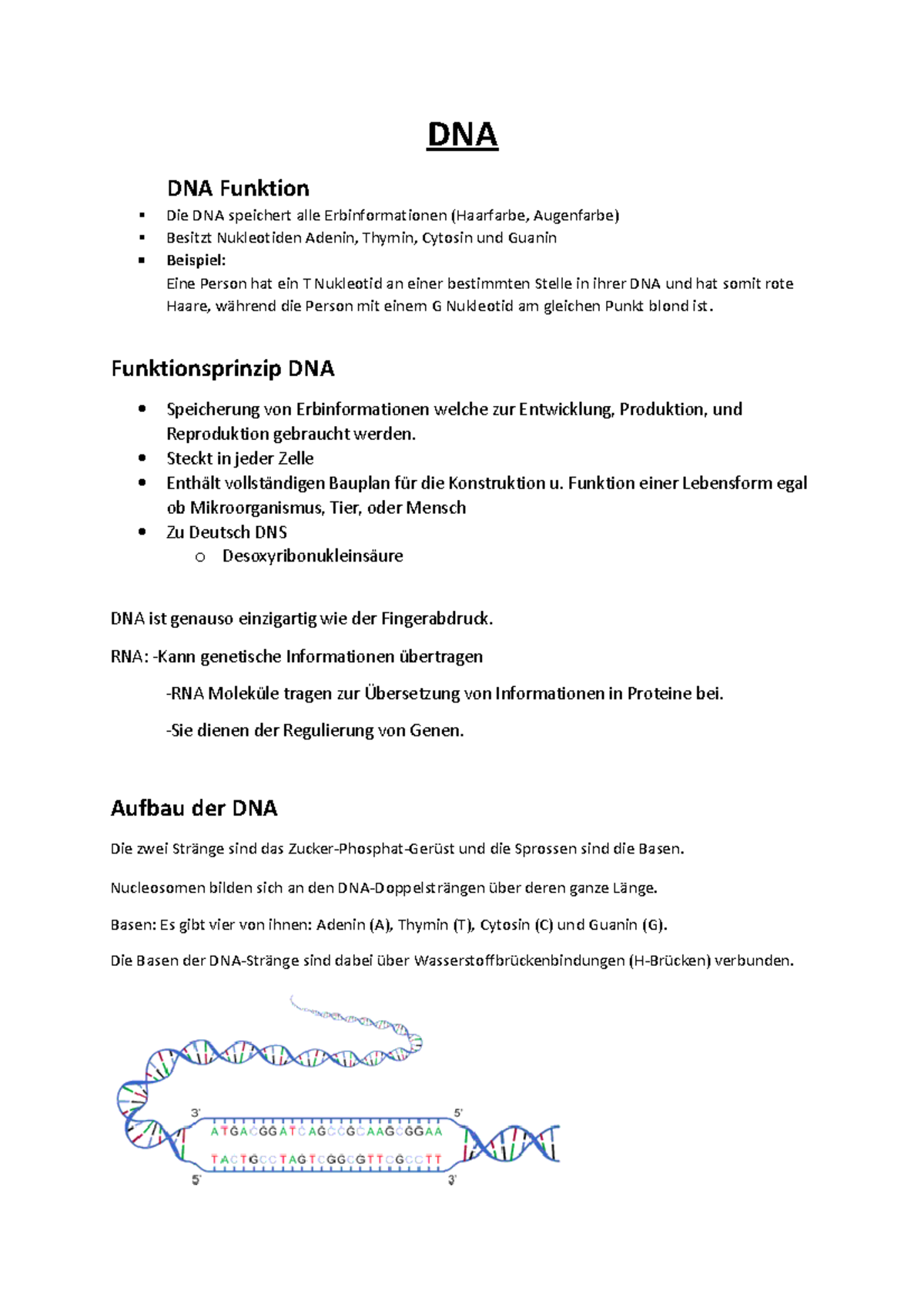 DNA - Zusammenfassung DNA - DNA DNA Funktion Die DNA speichert alle ...