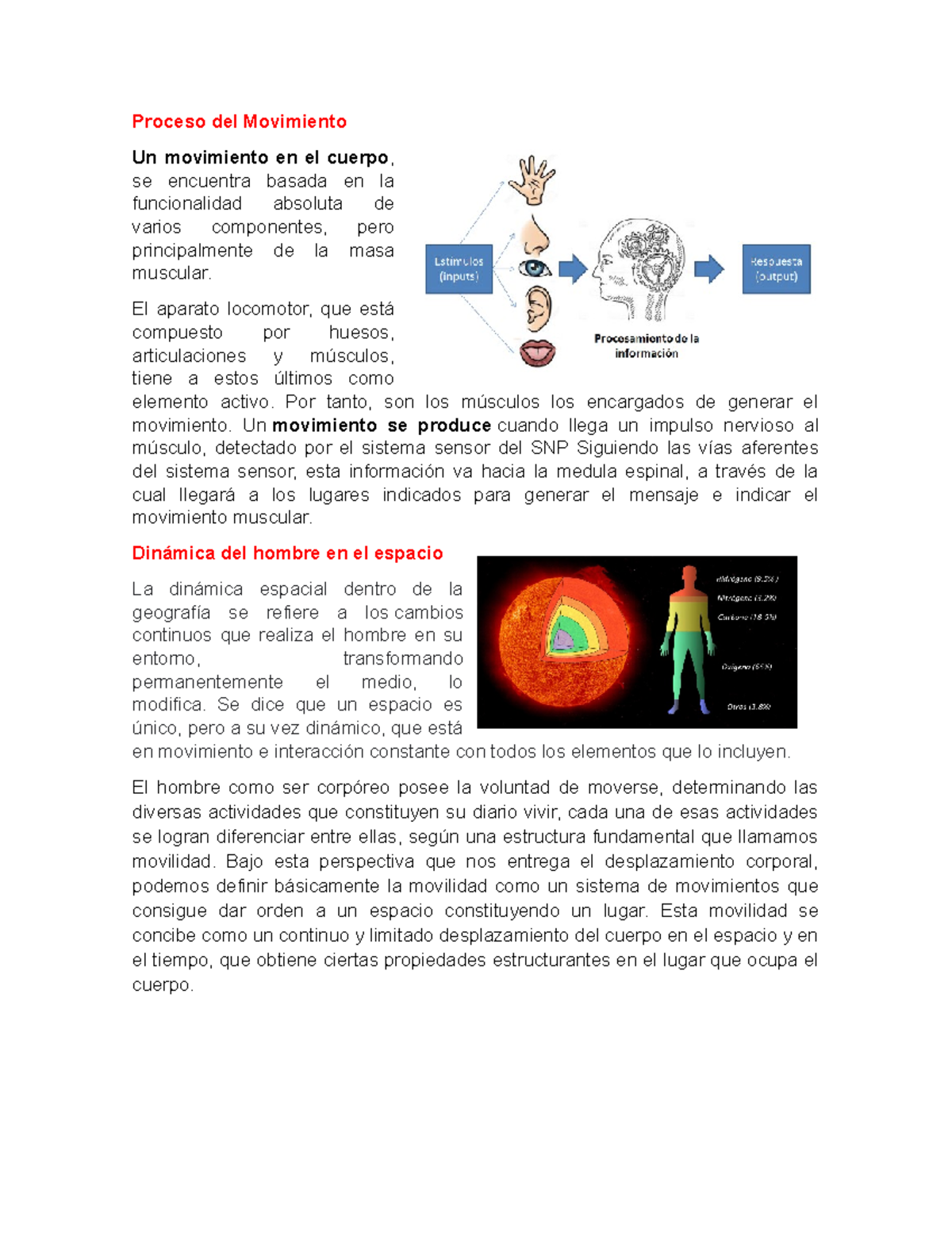 Proceso del Movimiento - El aparato locomotor, que está compuesto por ...