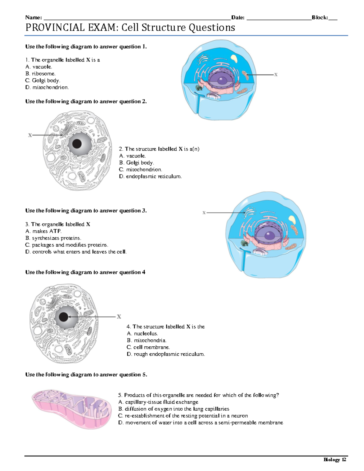 PE Questions Cell Processes - PROVINCIAL EXAM: Cell Structure Questions ...