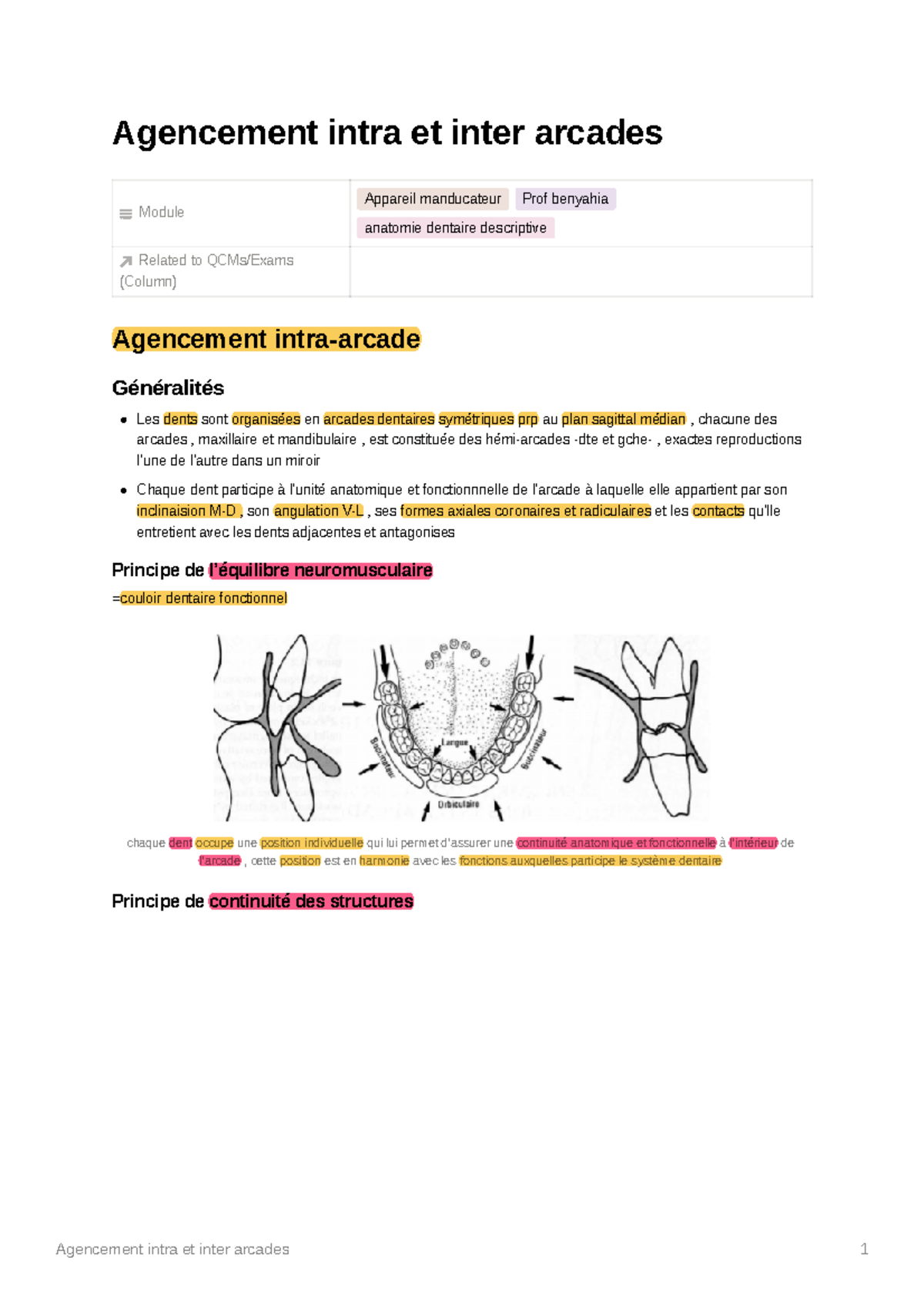 Agencement intra et inter arcades 2 - Agencement intra et inter arcades ...