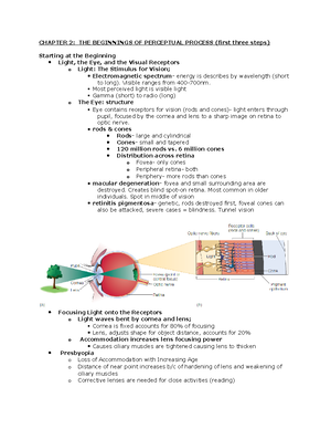 Human Sensory Perception Ch. 1 - Intro to Perception Distal and ...
