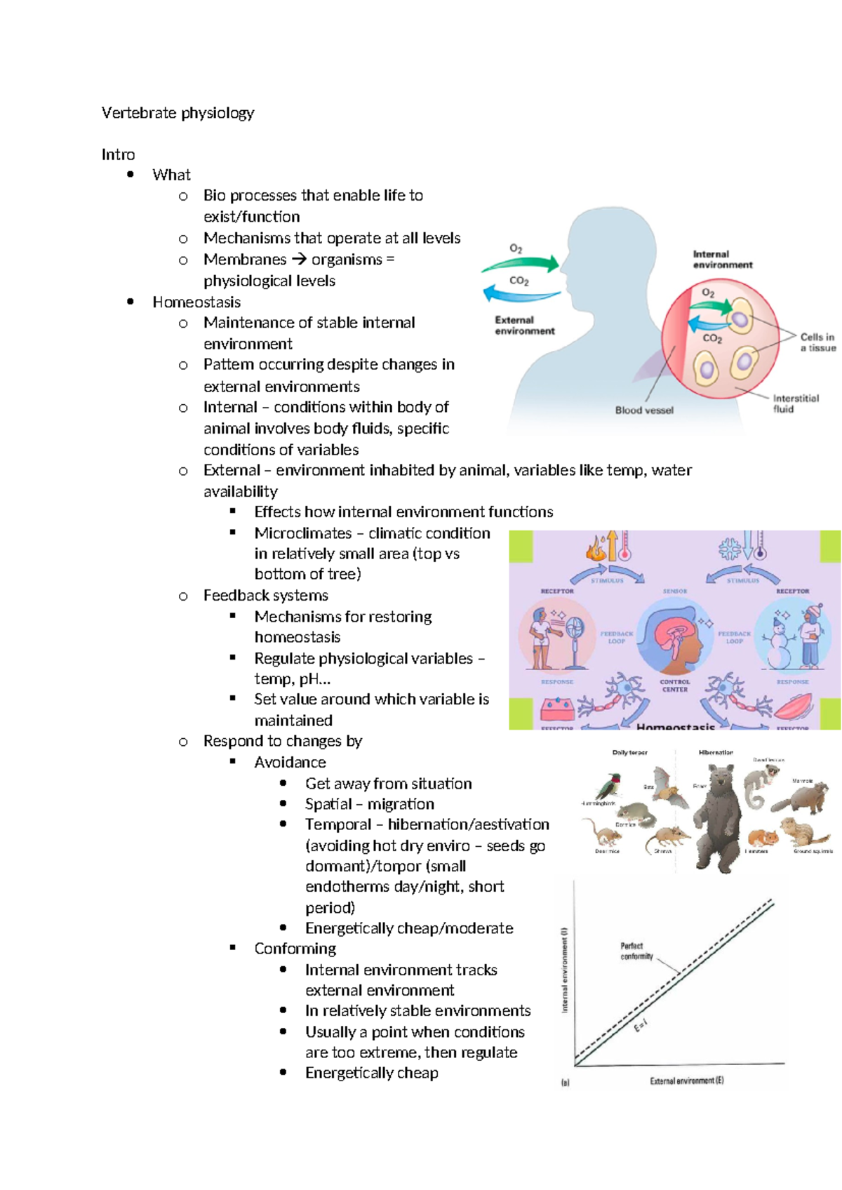 Vertebrate physiology - Vertebrate physiology Intro What o Bio ...