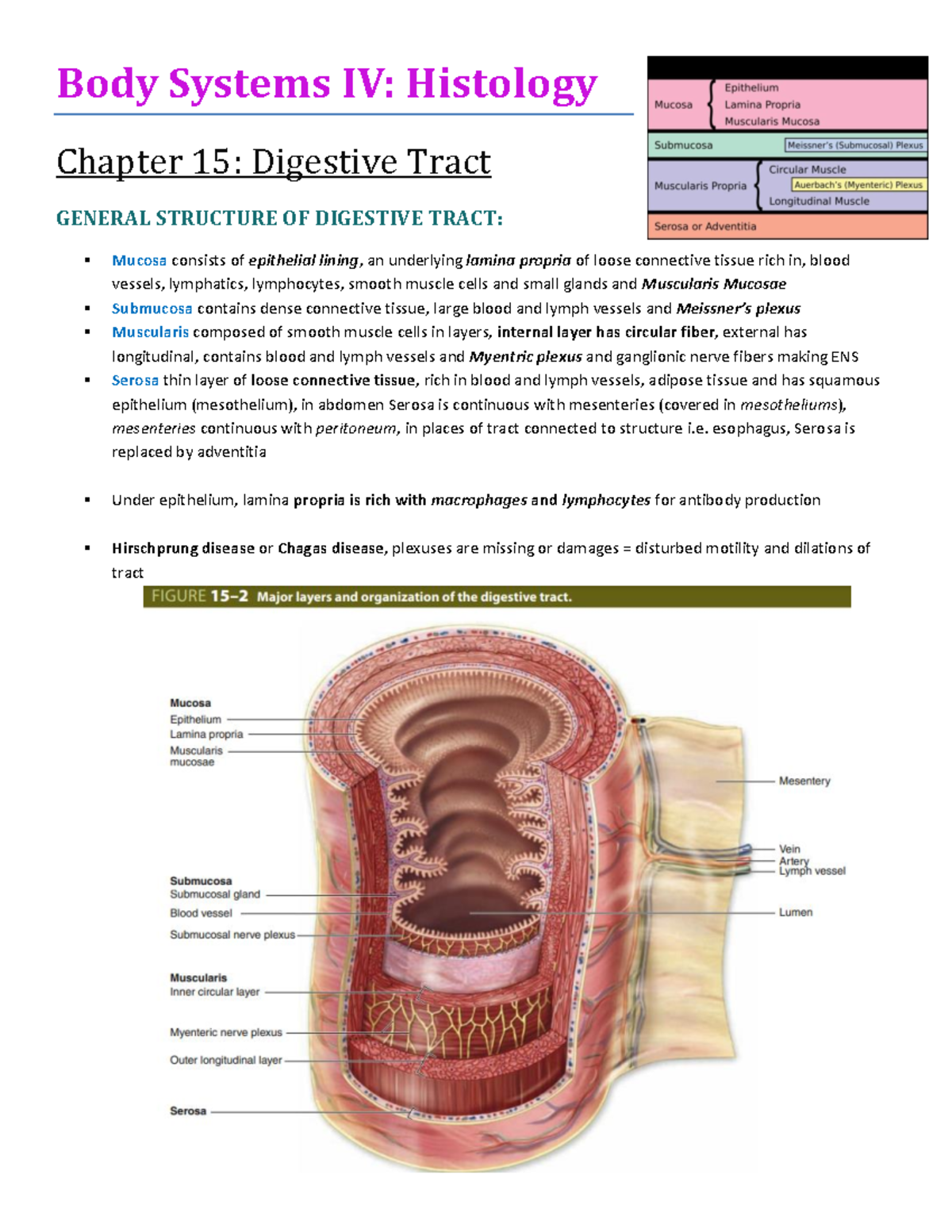 BS IV - Histology Final - Body Systems IV: Histology Chapter 15 ...