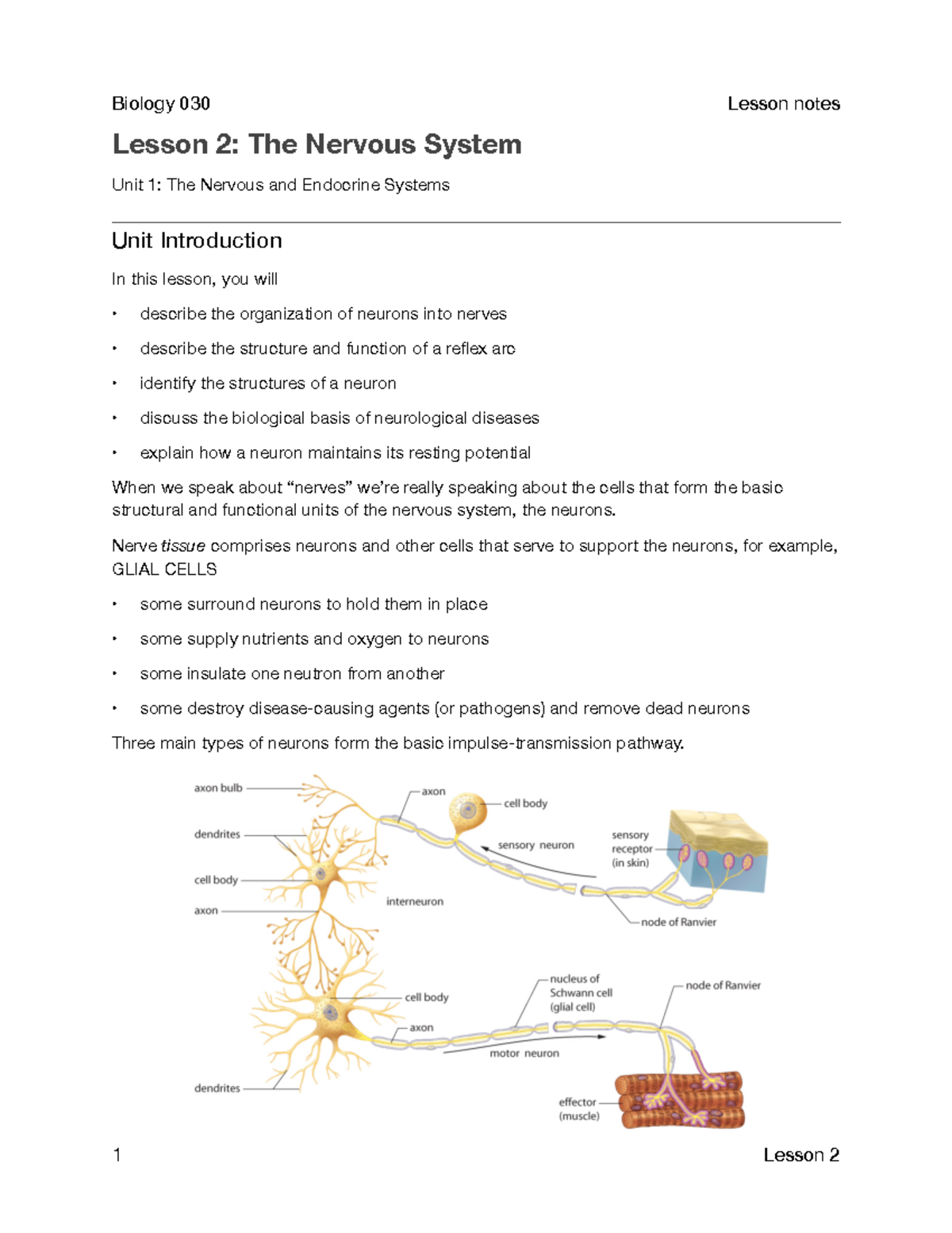Lesson 2 student notes - Lesson 2: The Nervous System Unit 1: The ...