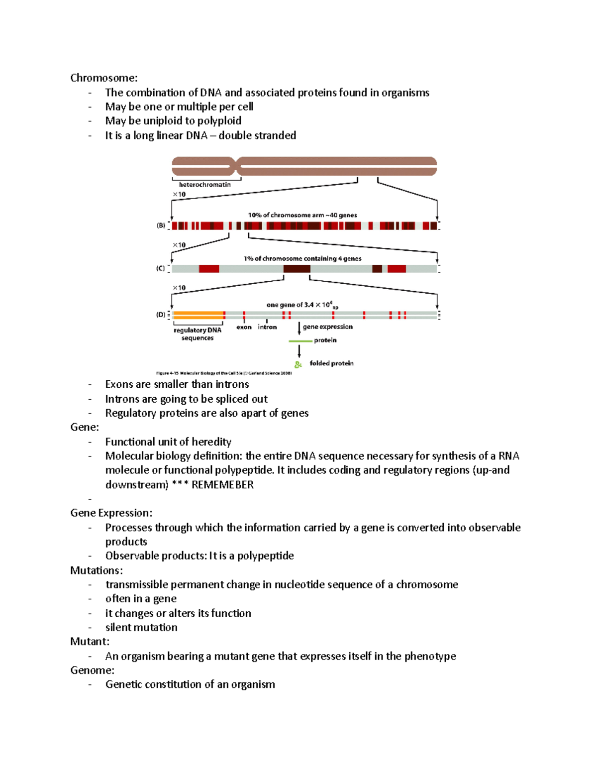 Midterm 1 Biol 308 Lecture Notes 1 2 Chromosome The