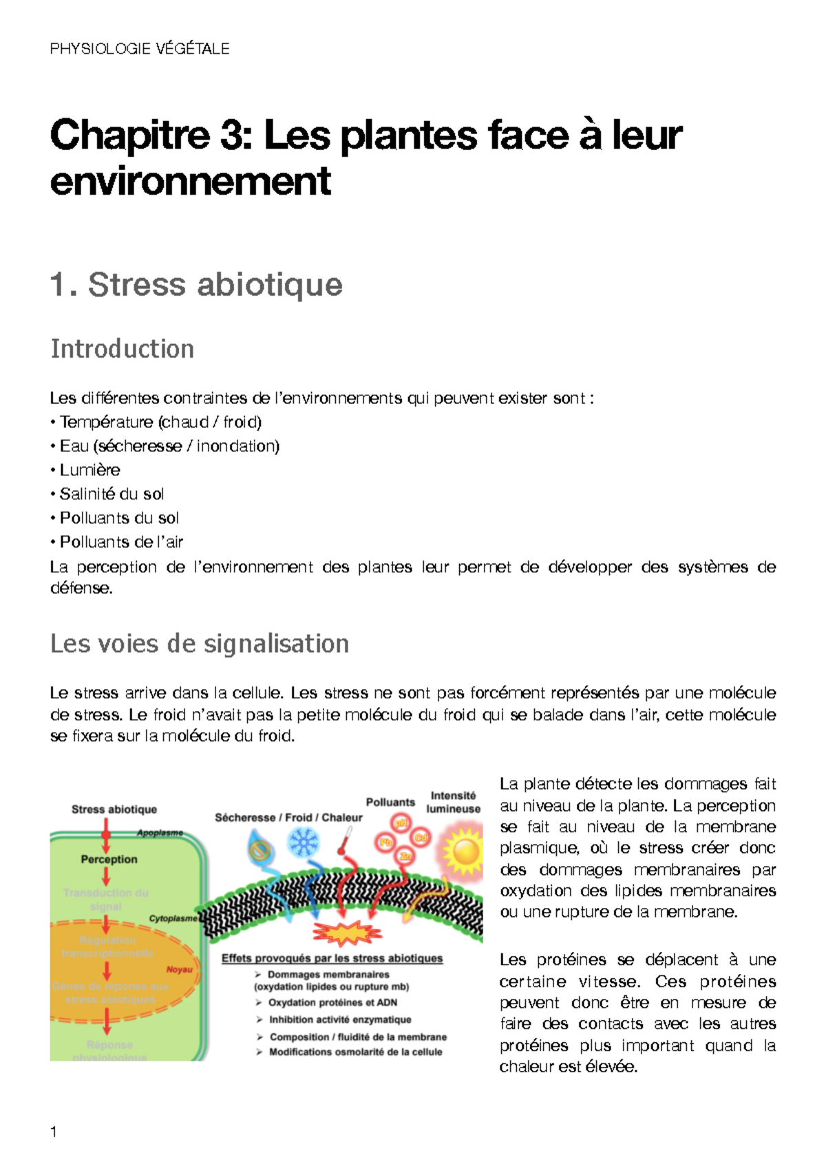 Les plantes face à leur environnement - Physiologie végétale - UPS ...