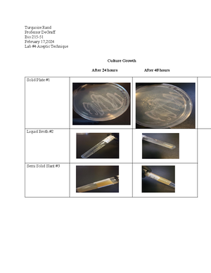 A&P II - Blood, Heart, Blood Vessels, & Respiratory System - Rowan ...