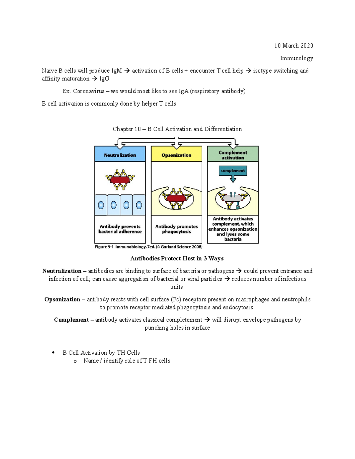 10 March B Cell Activation And Differentiation 10 March 2020 Immunology Naïve B Cells Will