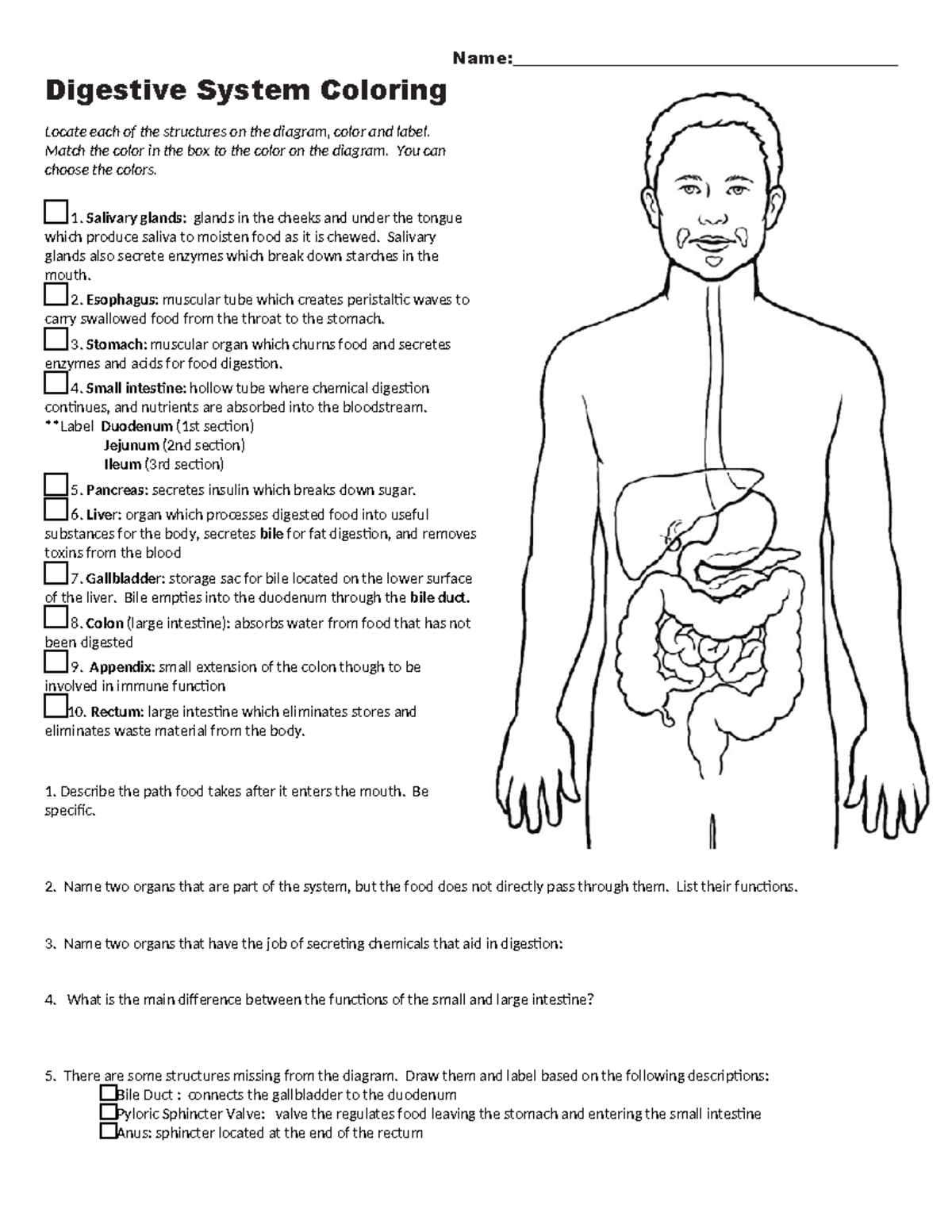 Digestive-System-Coloring - Name ...