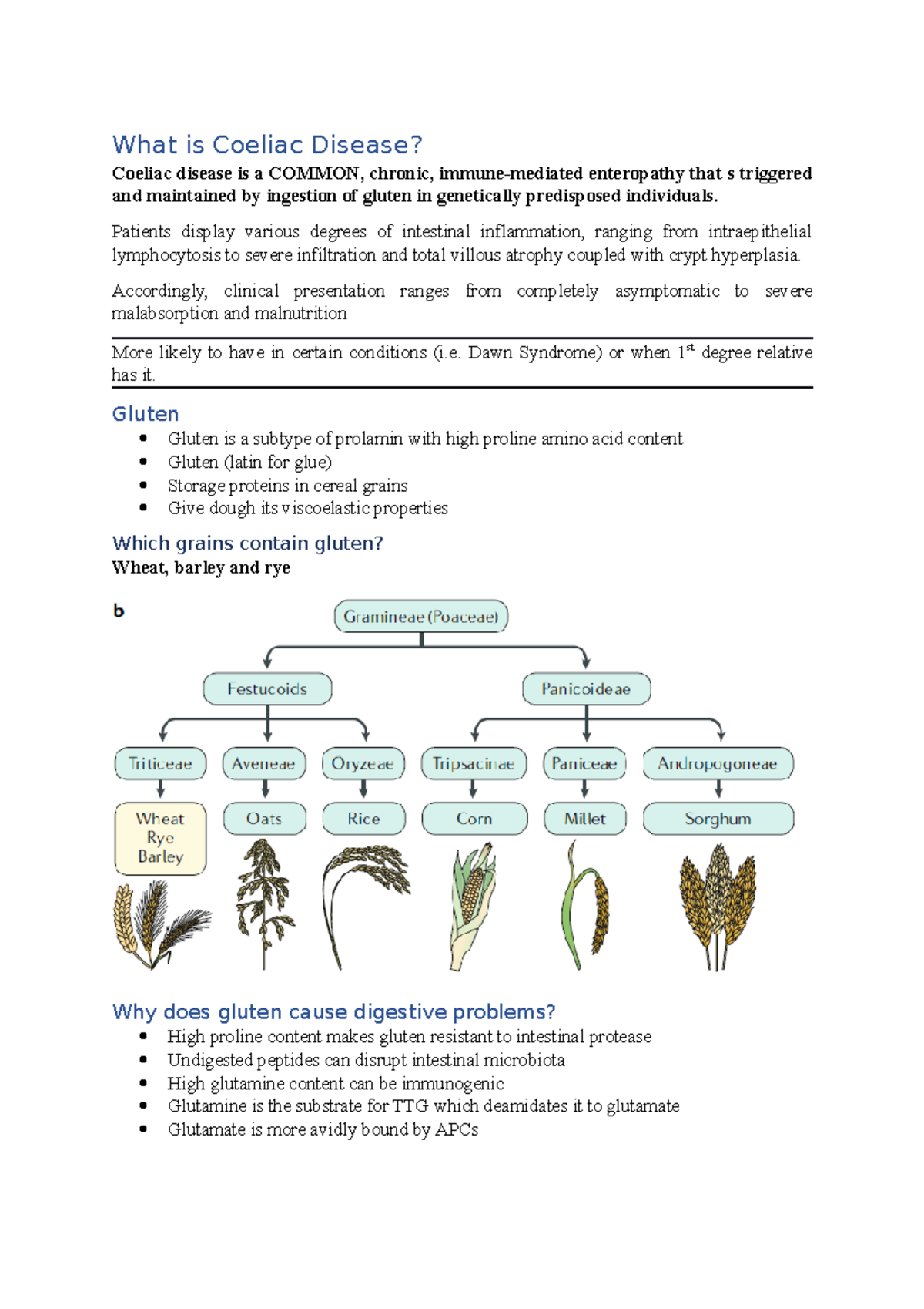 Coeliac disease - Lecture notes - What is Coeliac Disease? Coeliac ...