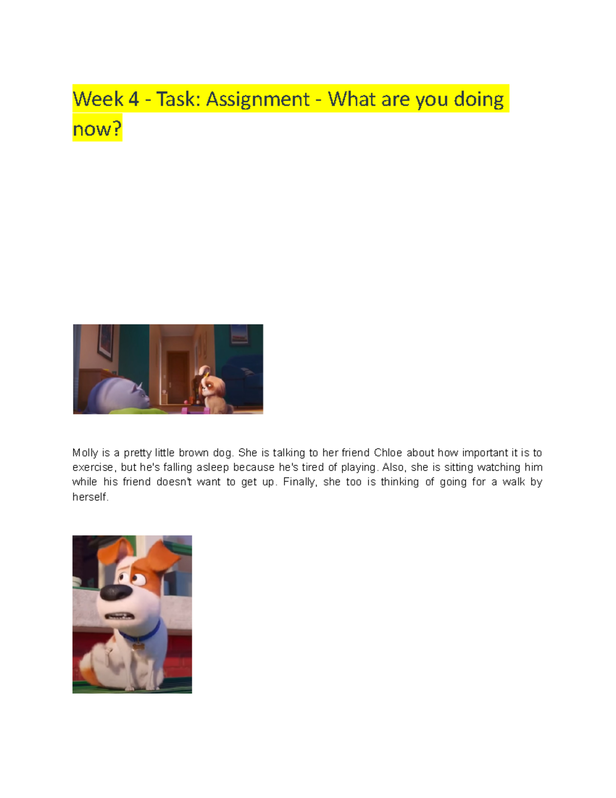 Week 4 - dasdasdsa - Week 4 - Task: Assignment - What are you doing now? Molly is a pretty ...