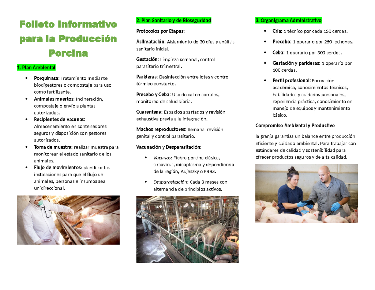 Folleto Informativo para la Producción Porcina - Plan Ambiental ...