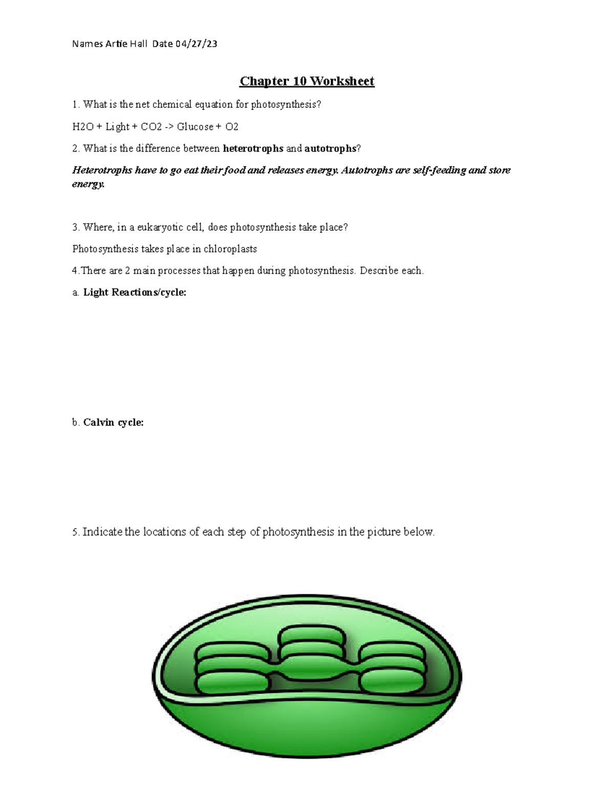 Chapter 10 Worksheet - gibson - Chapter 10 Worksheet What is the net ...