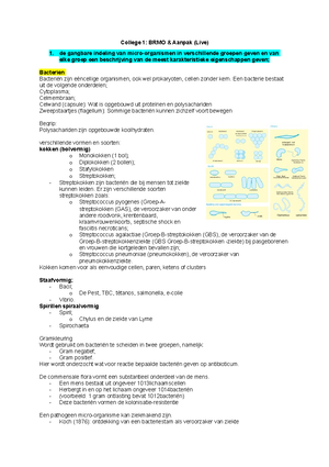 Latijnse-Nederlandse namen Botten - Latijnse naam: Nederlandse naam ...