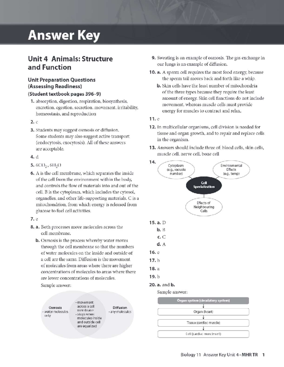 Unit 4 - Animals ~ Structure and Function Answer Key - Biology 11 ...
